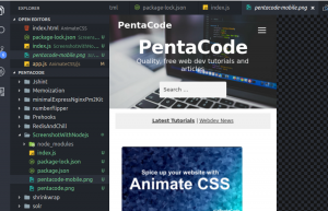 How to take screenshots of webpages with Node.js | Pentacode